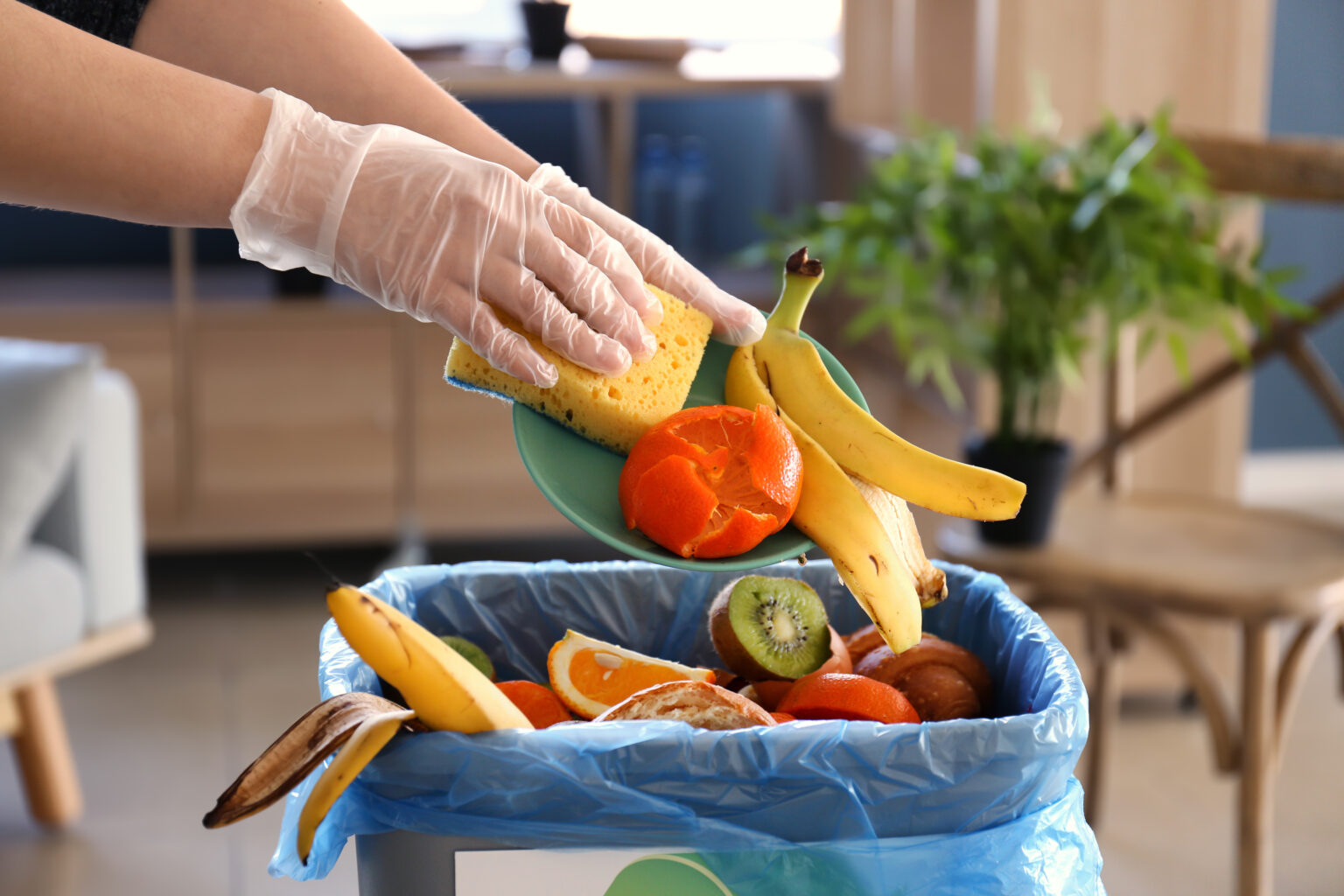 Rutgers Cooperative Extension Food Waste Team Partners with Ohio State ...