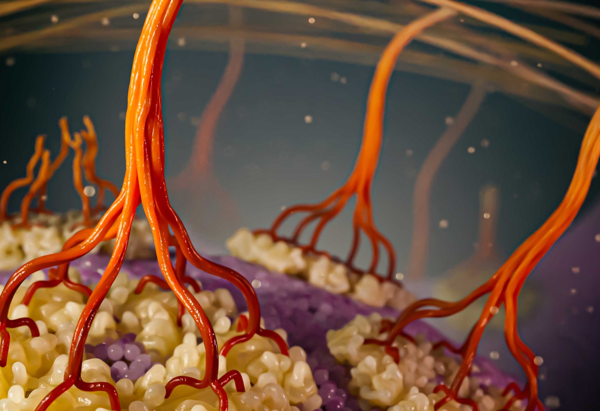 Scientists Witness Plant Cells Generate Cellulose and Form Cell Walls ...